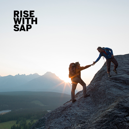 Ultimate SAP ERP Comparison Guide: GROW With SAP vs. RISE With SAP vs ...